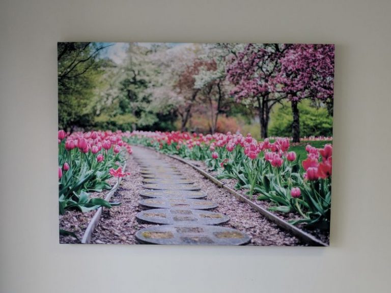 Acoustic Art Panels - Commercial Acoustics®